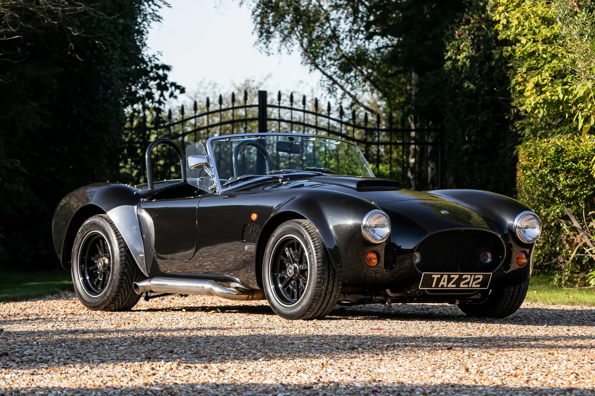 Lotus powered carbon Cobra | The Lotus Cars Community