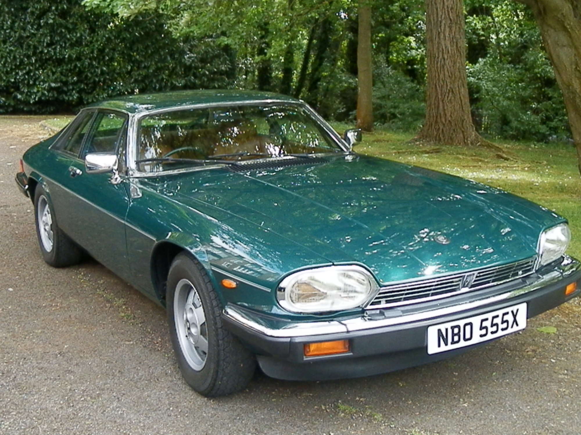 Iconic Auctioneers | 1982 Jaguar XJS HE Automatic-Auction Lot