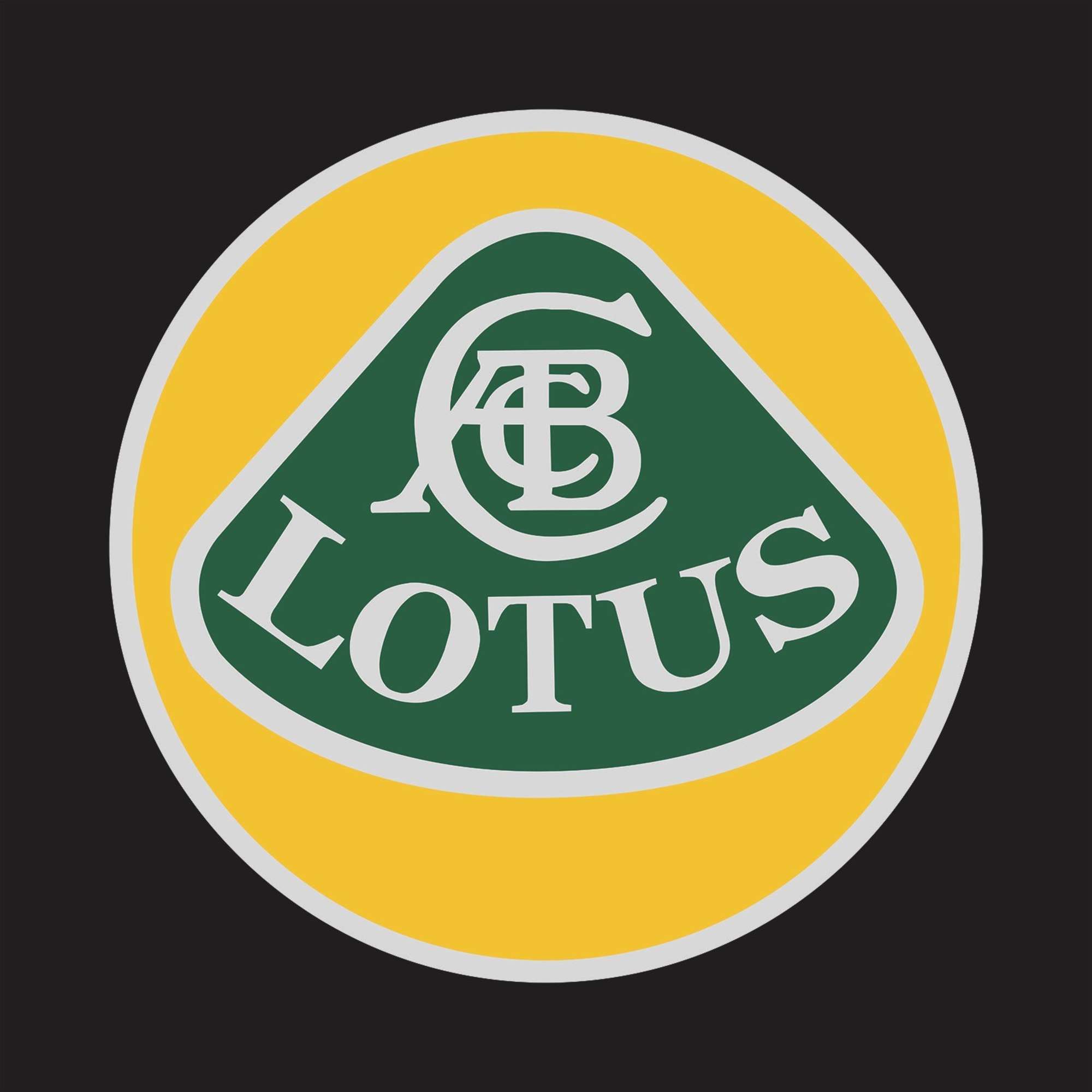 Iconic Auctioneers | Lotus display panel-Sold