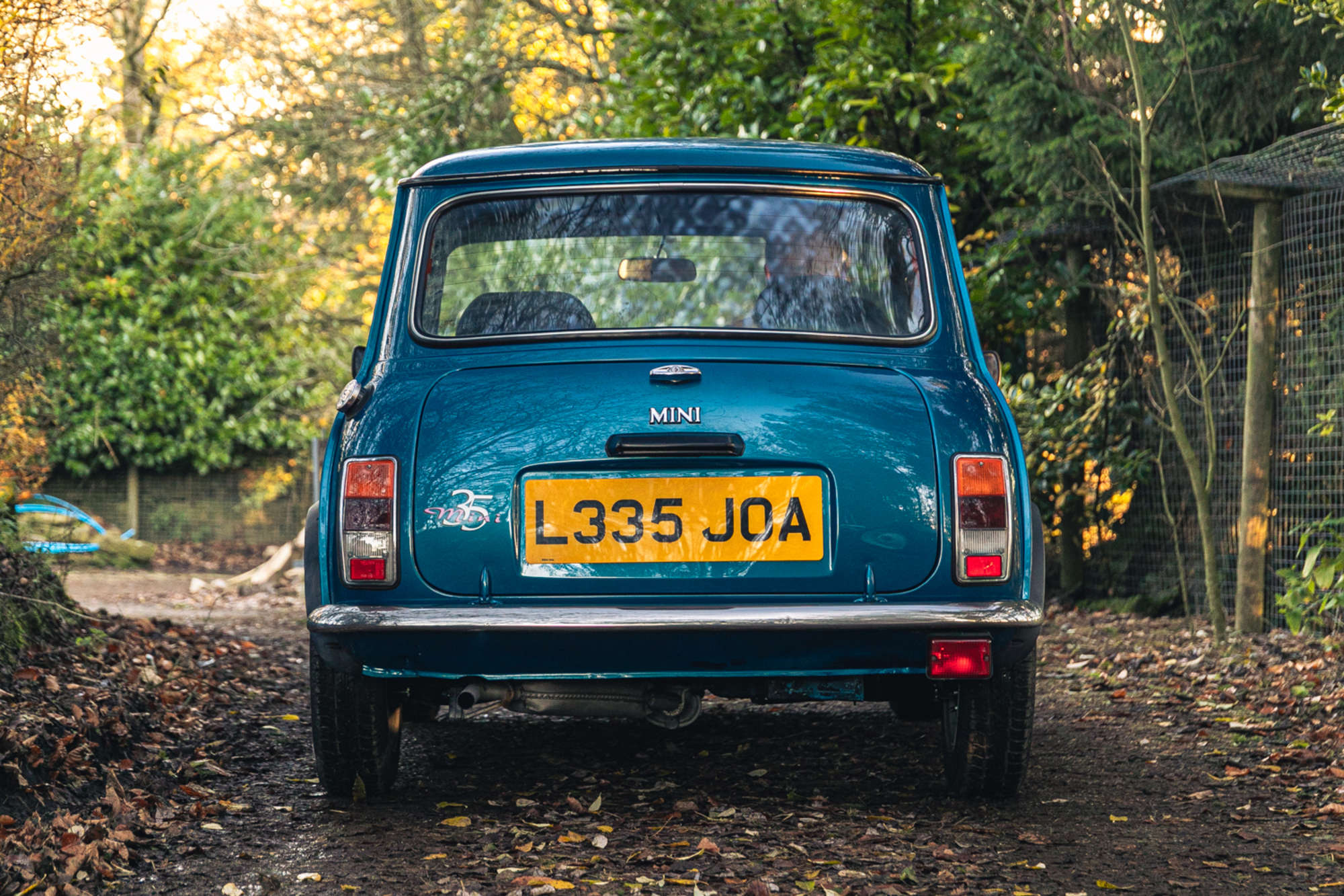Iconic Auctioneers | 1994 Rover Mini 35 Limited Edition-For Sale